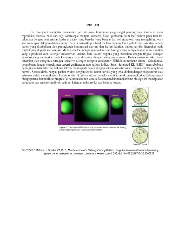 Fern Test Bag 1 | PDF
