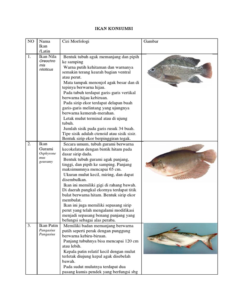 Jenis Ikan Konsumsi Dan Ciri Morfologi