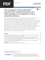 IDSA 2024 Guidelines on Intra-abdominal Infections | PDF | Medical ...