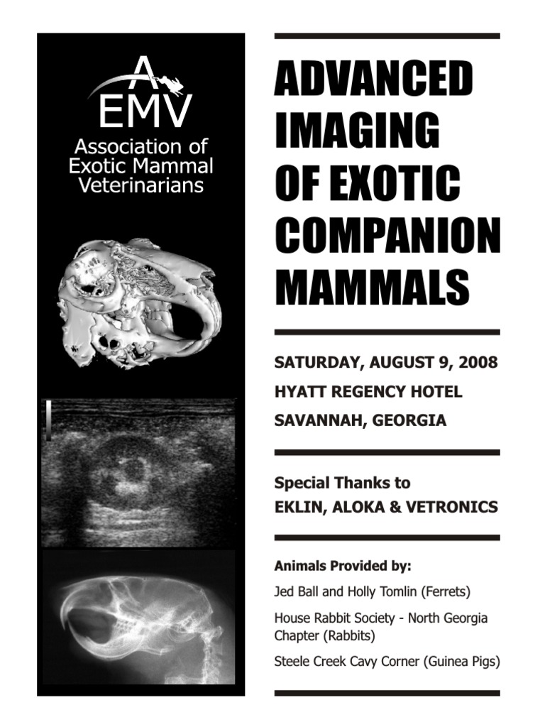 AEMV Proceeding | PDF | Radiography | Gastrointestinal Tract