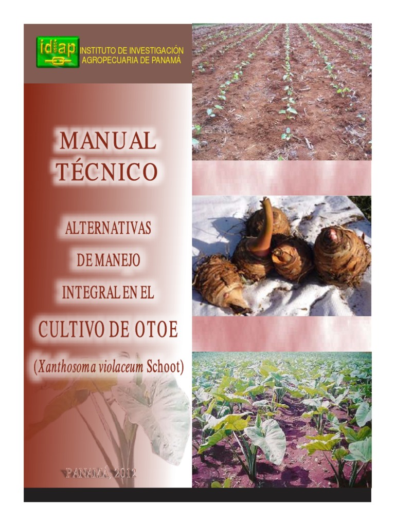 OTOE | PDF | Riego | Nitrógeno