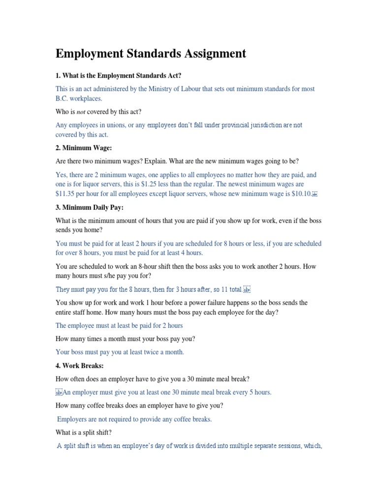 Employment Standards Document Pdf Layoff Employment