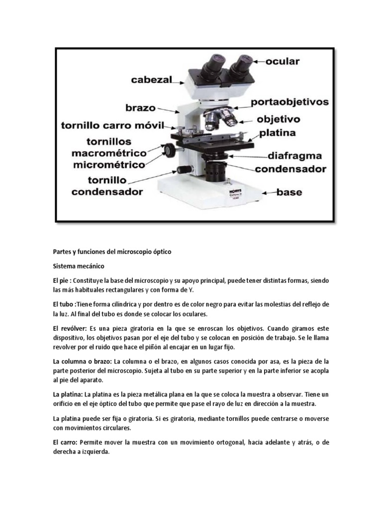 Un Estudio Del Microscopio Y Sus Funciones Con Una Etiqueta