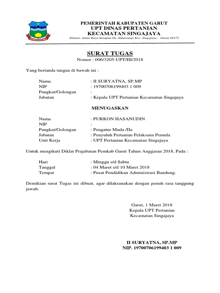 Surat Tugas | PDF