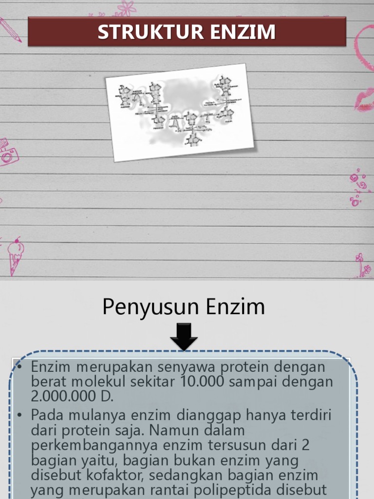 Struktur Enzim | PDF