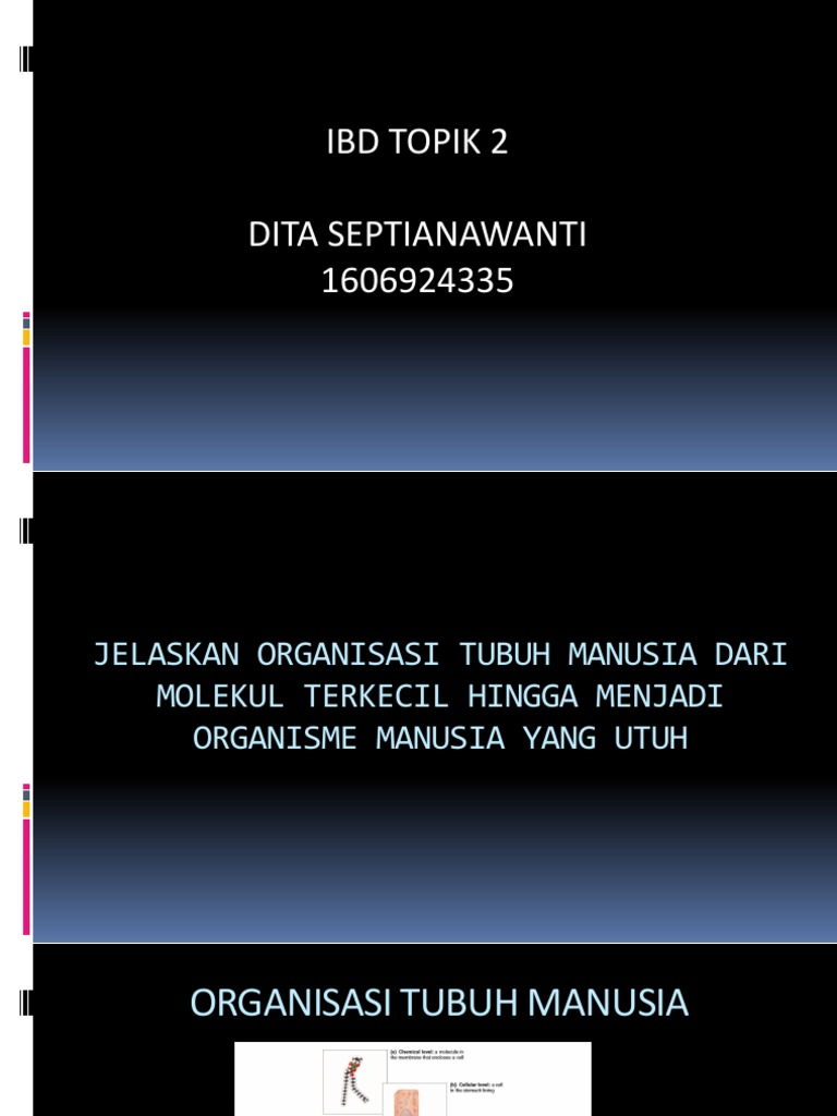 Biomedik TOPIK2 | PDF | Kesehatan Holistik