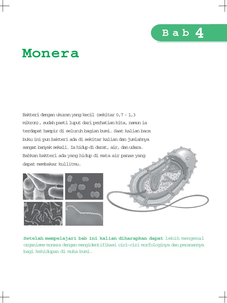 STRUKTUR DAN FUNGSI MONERA | PDF
