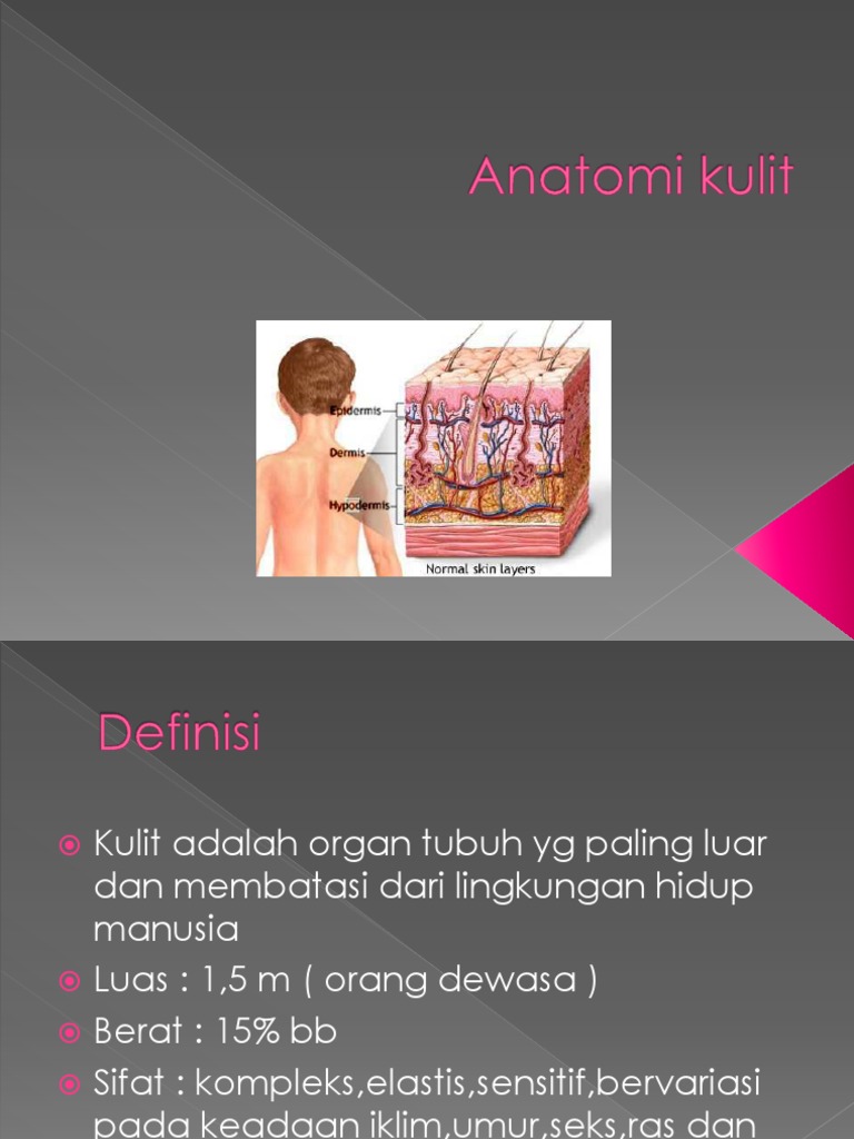 The Structure and Functions of Human Skin | PDF