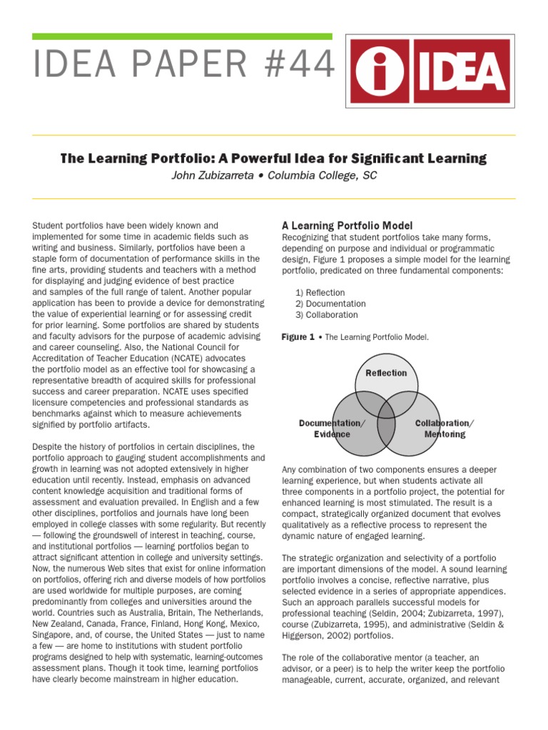 Learning Portfolio General Idea | PDF | Educational Assessment | Mentorship