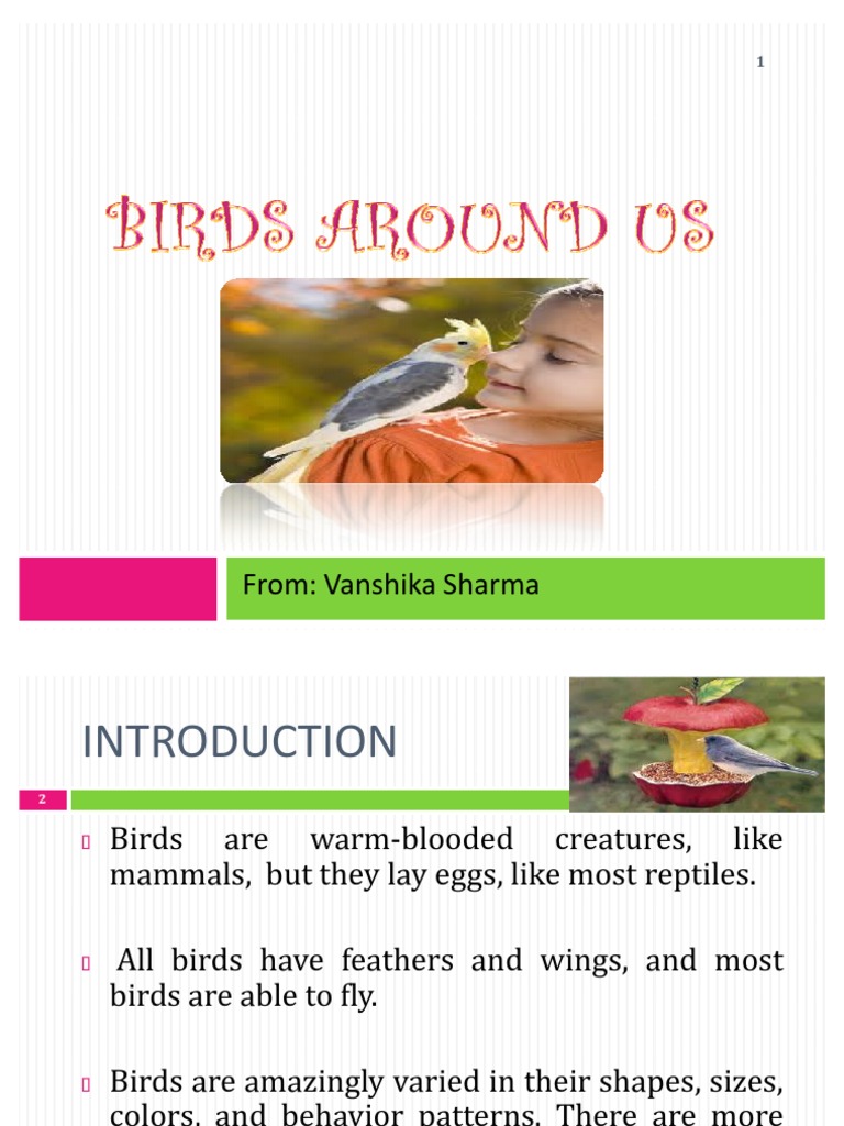 Birds Around Us | PDF | Birds | Beak