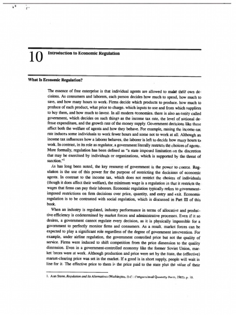 Viscusi Cap 10 | PDF