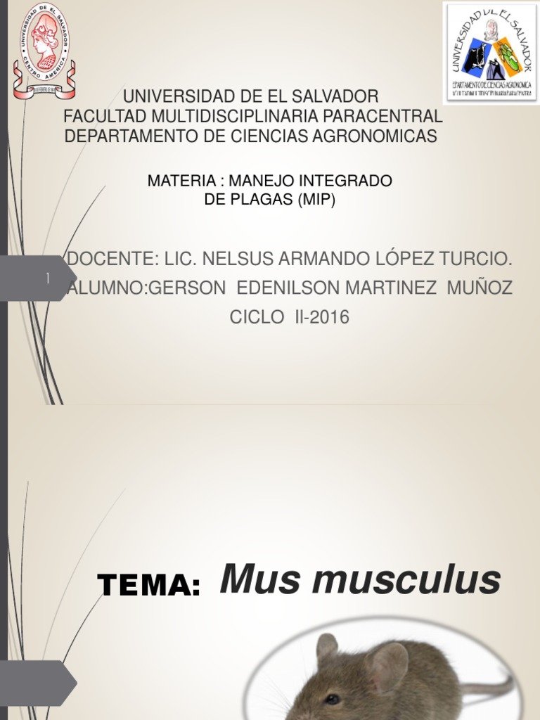 Mus Musculus | PDF | Ratón | Naturaleza