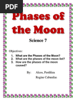 Phases of The Moon Detailed Lesson Plan | PDF | Moon | Astronomy