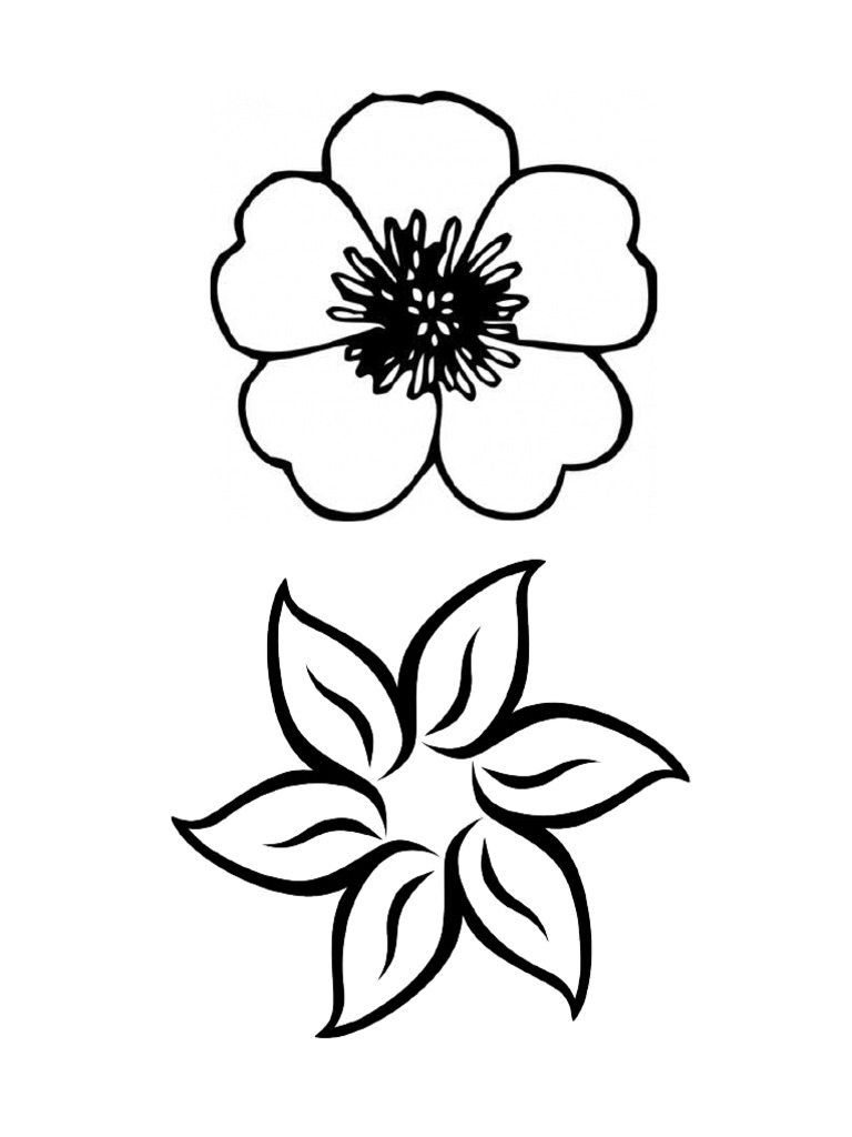 Flower | PDF
