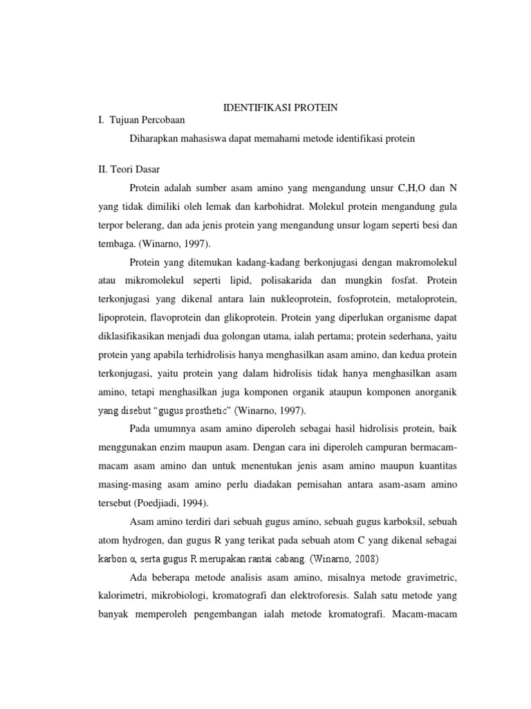 Laporan Biokimia Identifikasi Protein | PDF