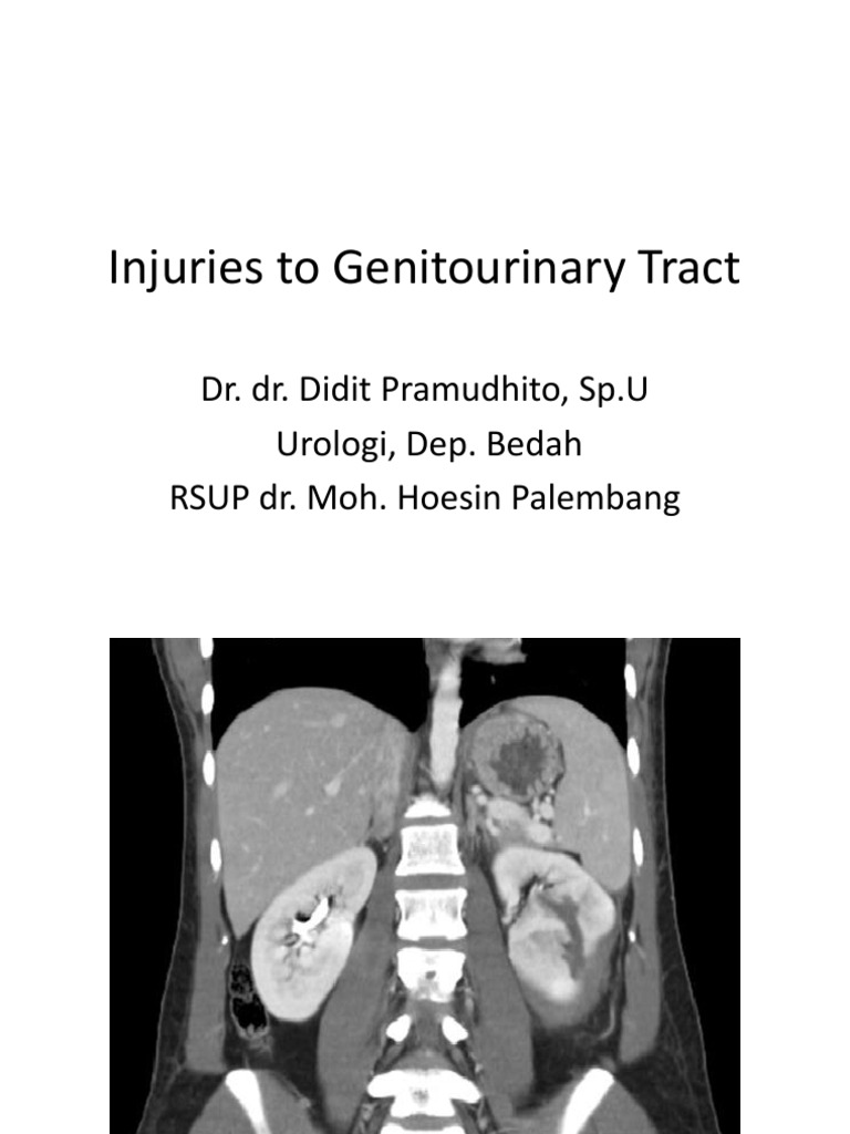 Injuries To Genitourinary Tract | PDF | Major Trauma | Urinary Bladder