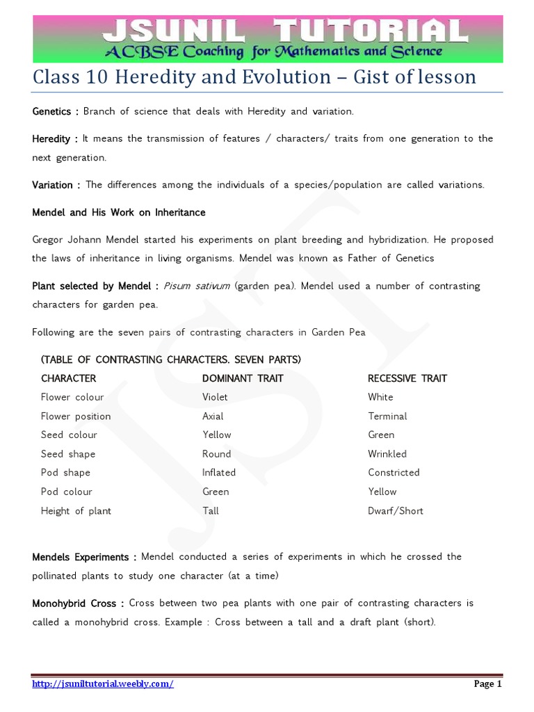 Class 10 Heredity and Evolution Study Notes | PDF | Evolution ...