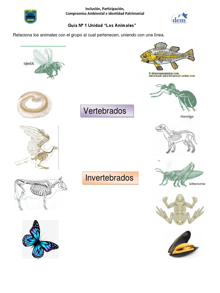 Vertebrados: Relaciona los animales con el grupo al cual pertenecen ...