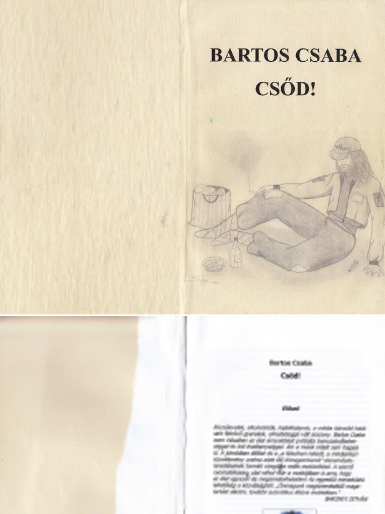 Bartos Csaba, Csőd. 2003 | PDF