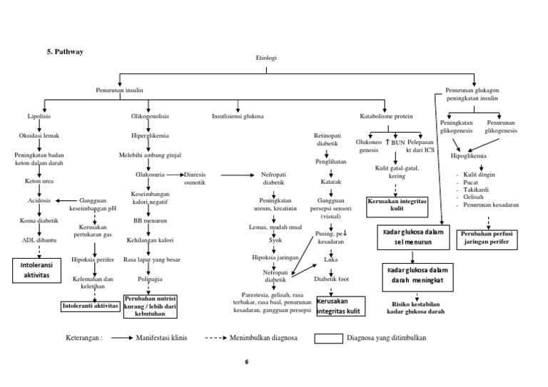 Pathway Nefropati Diabetik dan DM | PDF