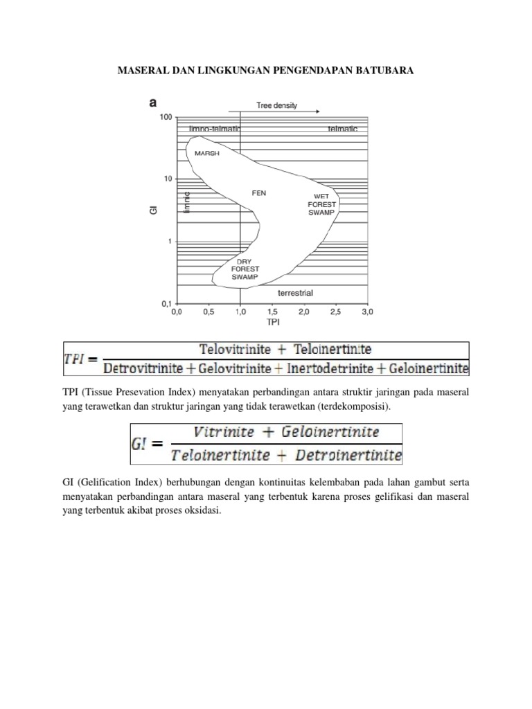 Analisis Maseral dan Lingkungan Batubara | PDF | Sains & Matematika