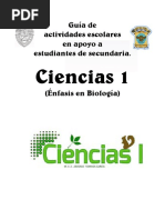 Sopa de Letras de Respiracion Celular - 1 PDF | PDF | Artes del ...