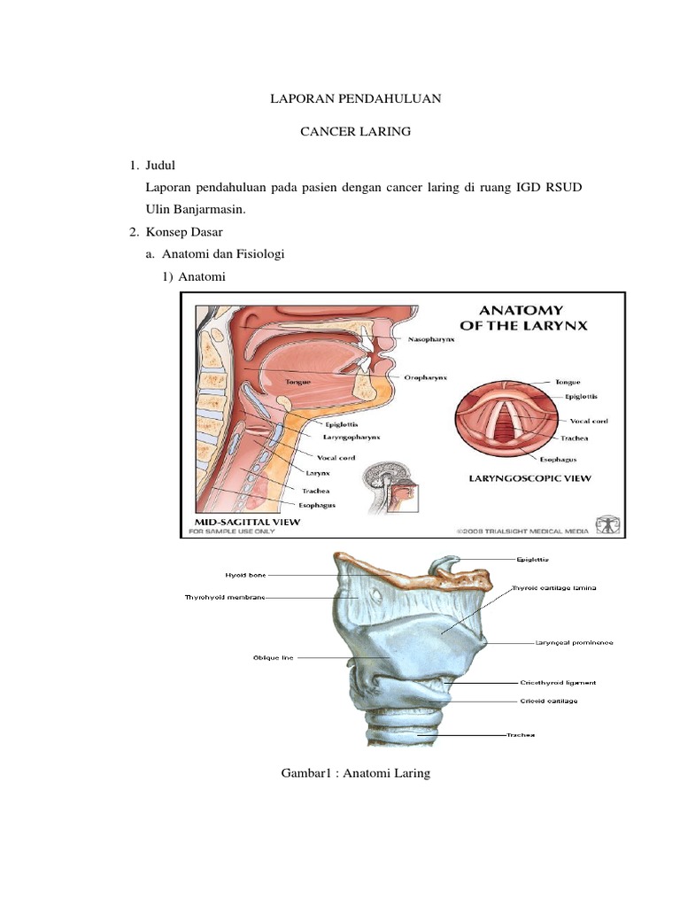 LP CA. Laring | PDF | Pengembangan Diri | Sains & Matematika