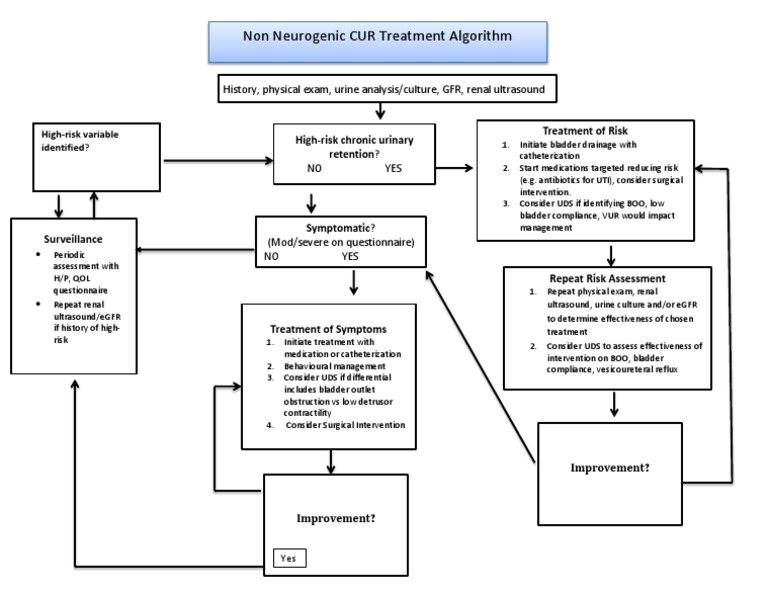 Non Neurogenic CUR Treatment Algorithm: History, Physical Exam, Urine ...