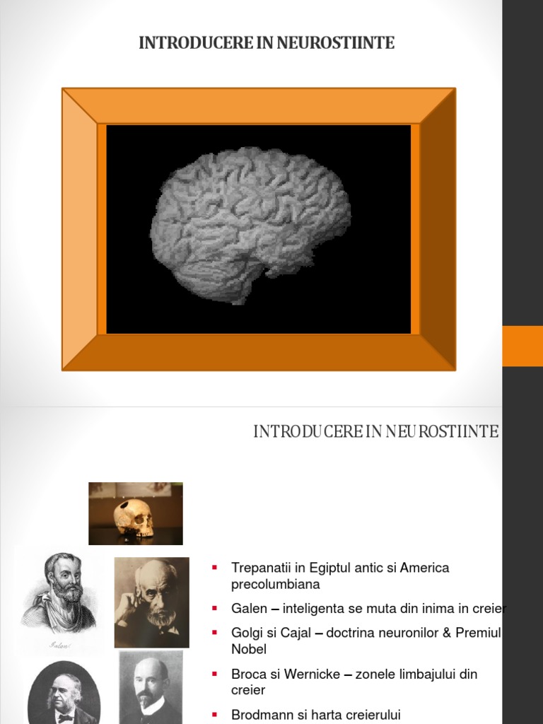 Introducere în Neuroștiințe: Fundamente și Aplicații | PDF ...