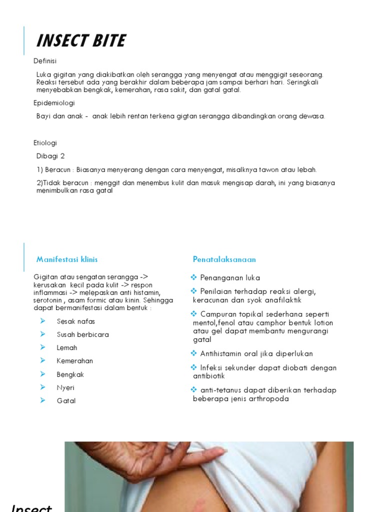 Insect Bite | PDF