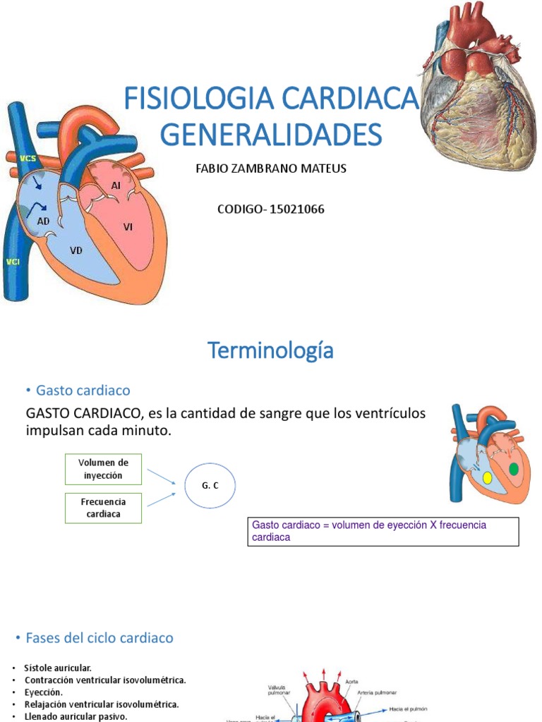 Fisiologia Cardiaca | PDF | Ventrículo (corazón) | Corazón