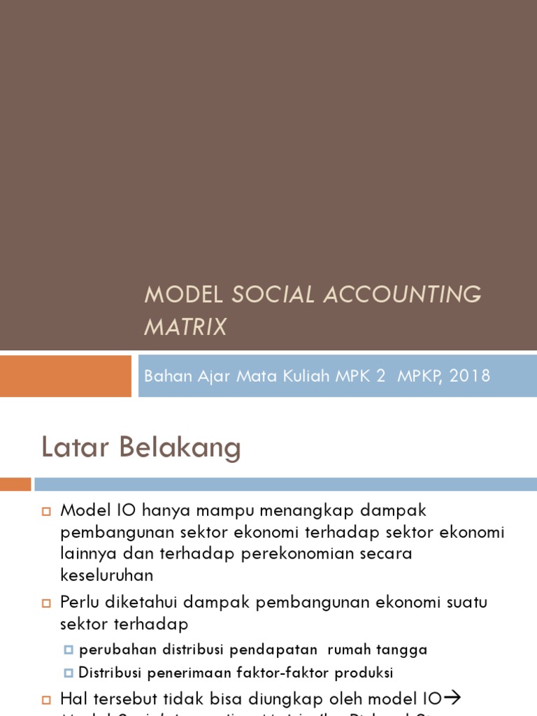 Model Social Accounting Matrix | PDF