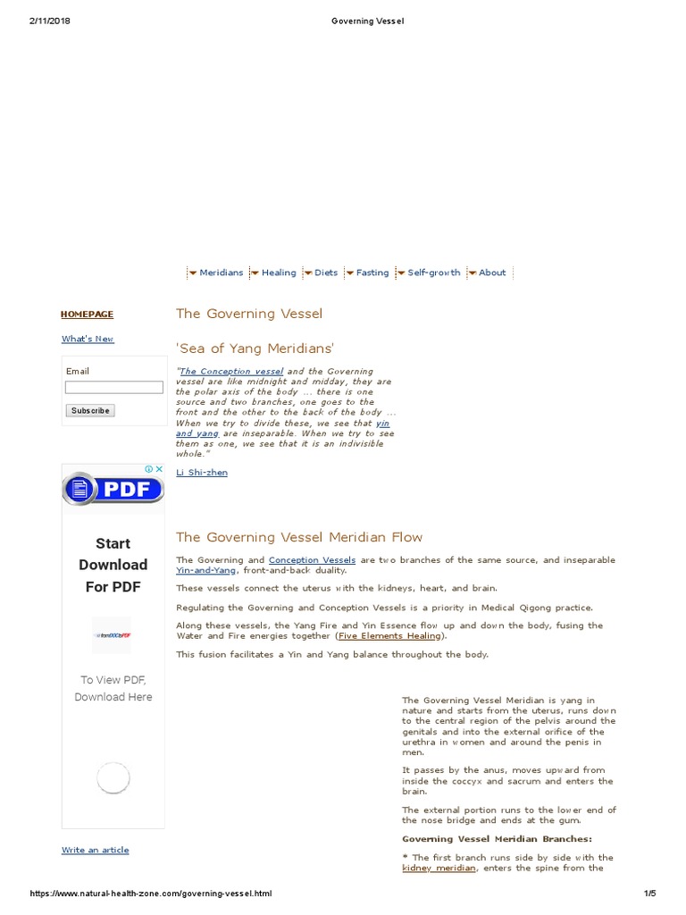 The Governing Vessel: An Overview of the Yang Meridian That Flows From ...