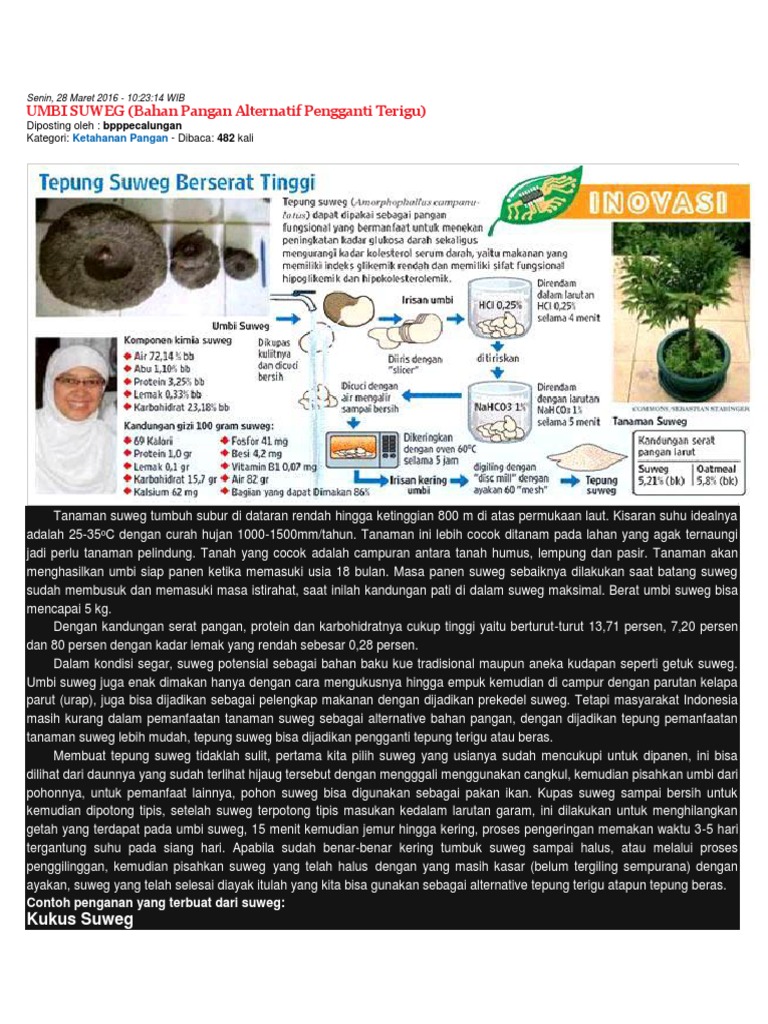 Manfaat dan Resep Umbi Suweg | PDF