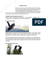 Kliping Jenis Burung Elang Yang Ada Di Indonesia | PDF