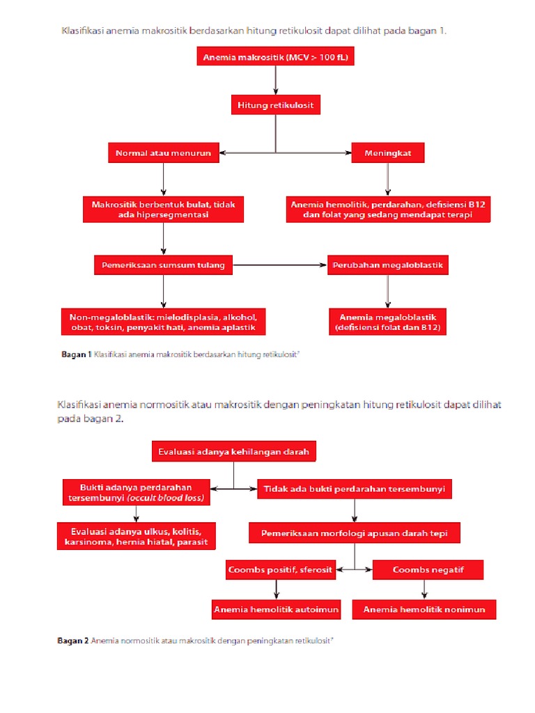 Algoritma Anemia | PDF