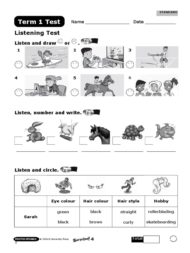 264506041 Surprise 4 Term 1 Test Standard | Leisure