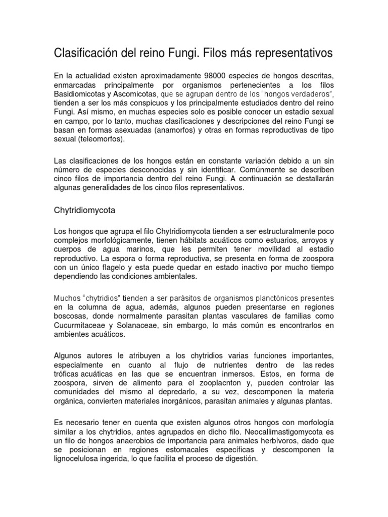 Clasificación Del Reino Fungi | PDF | Hongo | Levadura