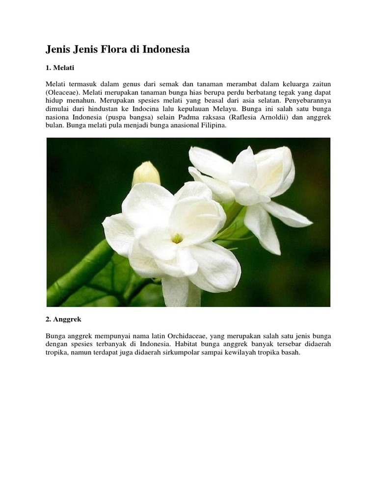 Jenis Jenis Flora Di Indonesia | PDF