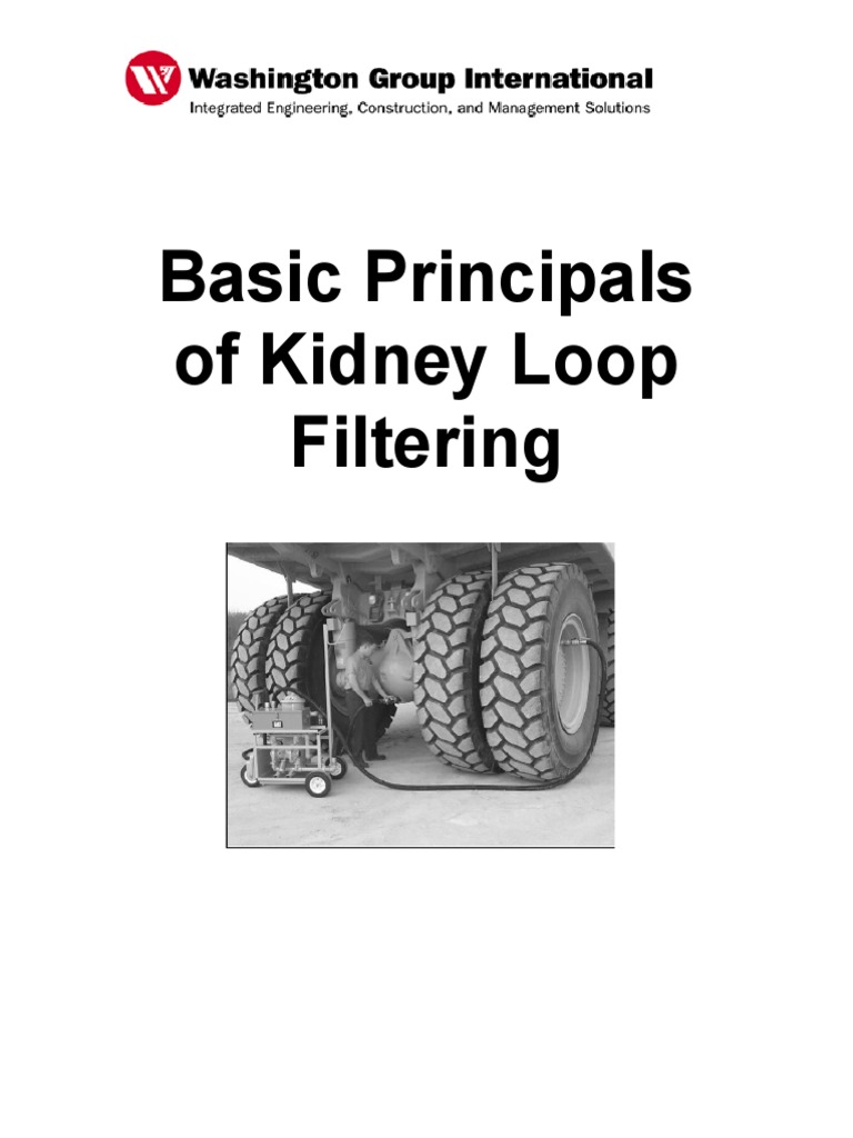 Basic Principals of Kidney Loop Filtering | PDF | Filtration | Kidney