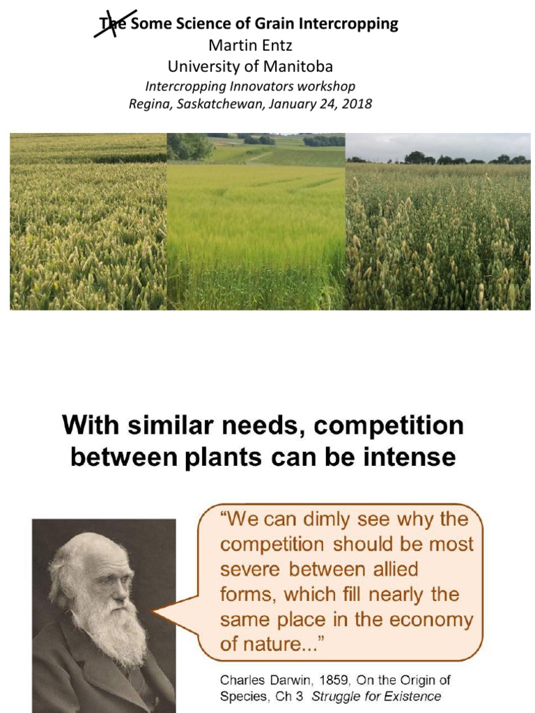 Science Behind Intercropping | PDF | Crop Rotation | Nitrogen