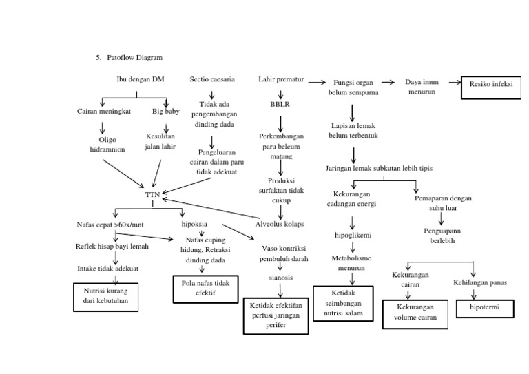 Patoflow Diagram TTN | PDF