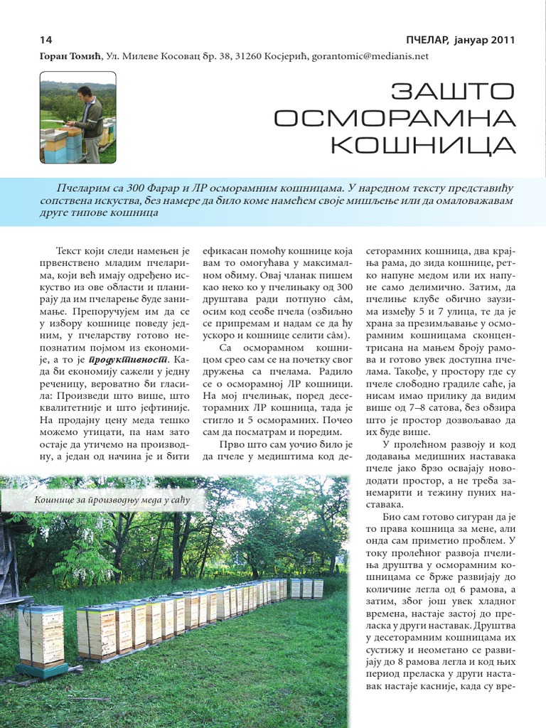 GORAN TOMIC 8 Ramova PDF | PDF