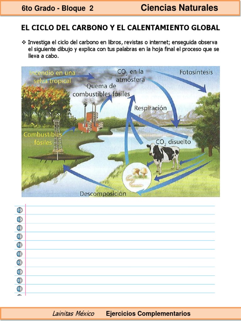 Hoja De Trabajo De Comprensión Del Ciclo Del Carbono: Respuestas
