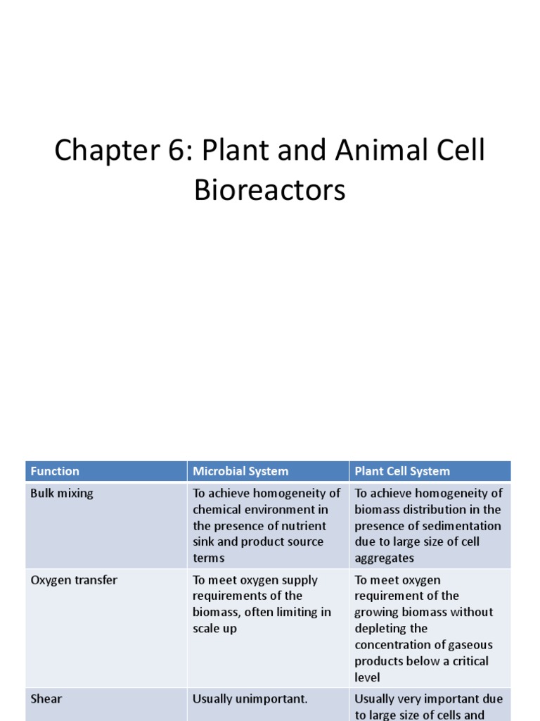 Animal Cells Bioreactors | PDF | Chemistry | Chemical Engineering