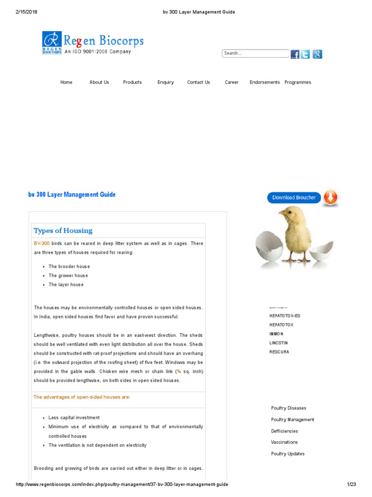 BV 300 Layer Management Guide PDF | PDF | Chemistry | Nature