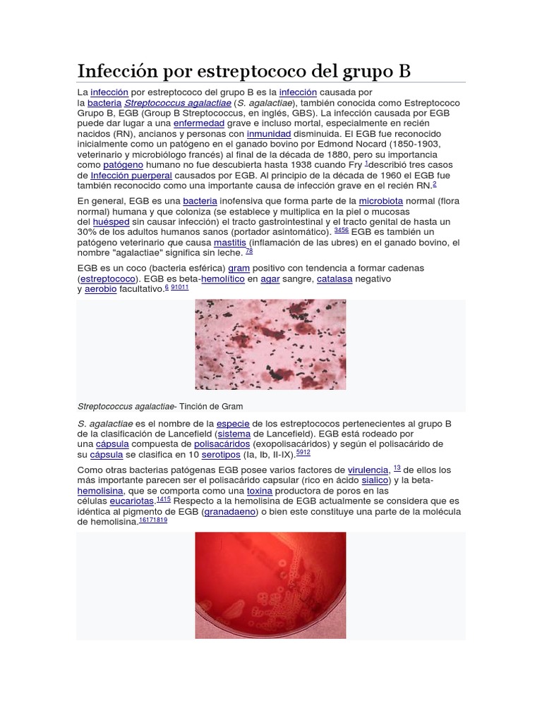 Infección Por Estreptococo Del Grupo B | PDF | Inmunología ...