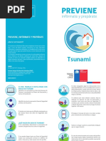 Triptico Tsunami | PDF | Tsunami | Peligros