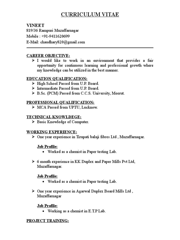 Curriculum Vitae: Vineet | PDF