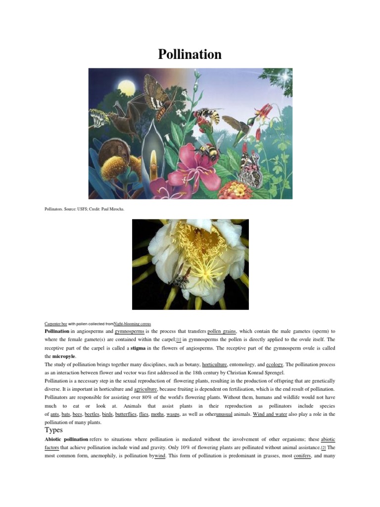 Pollination: Types | PDF | Pollination | Pollinators